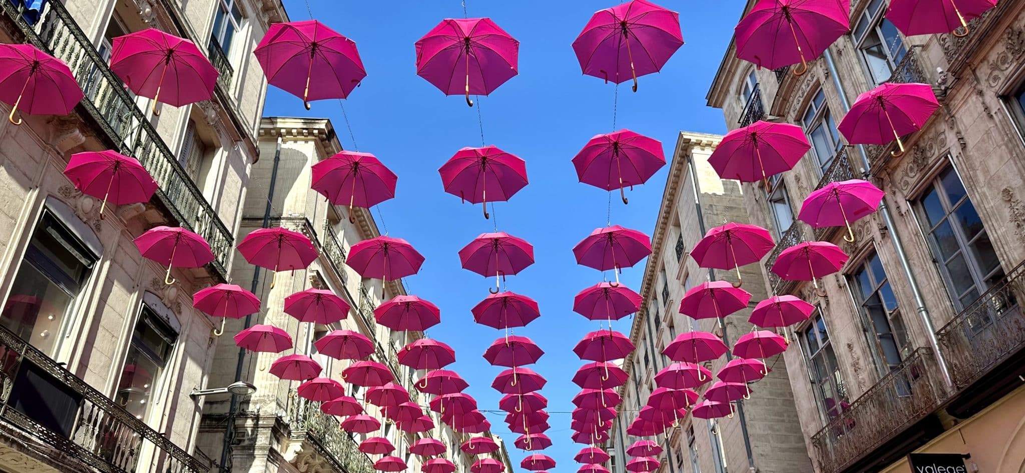 Montpellier : la rue de La Loge sous 400 parapluies roses